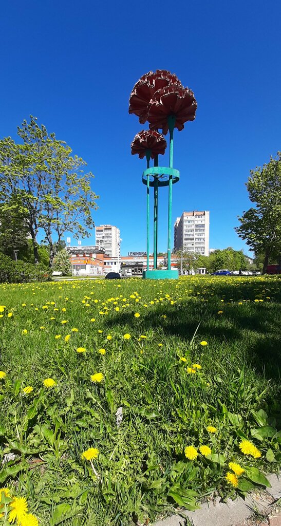 Park, sokak heykeli Гвоздики, Sosnoviy Bor, foto