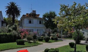 Palmiye Pansiyon (İstanbul, Adalar, Maden Mah., Altınordu Sok., 27), pansiyonlar, hosteller  Adalar'dan