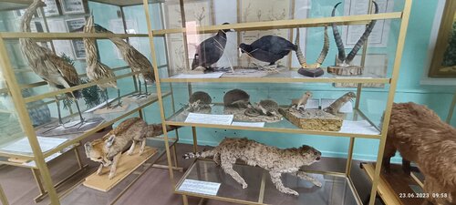 Müzeler ve sanat galerileri Museum, Zerefşan, foto