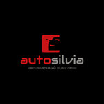 Autosilvia (ulitsa Sergeyeva No:3/5), oto yıkama  Irkutsk'tan