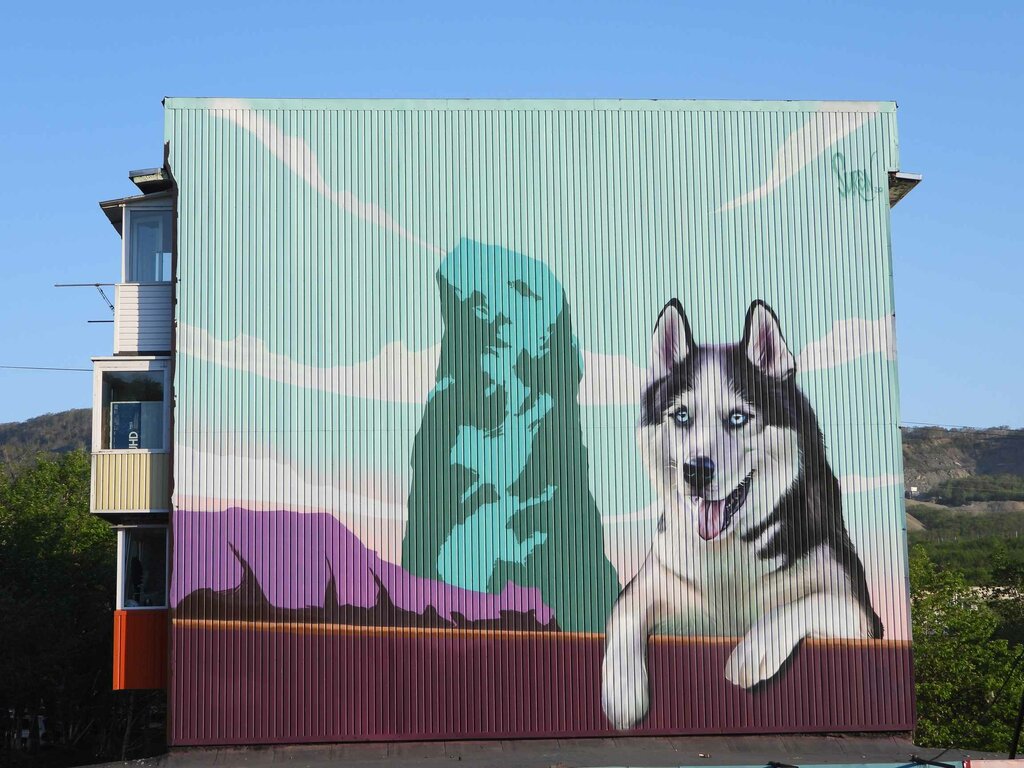 Sokak sanatı Хаски, Petropavlovsk, foto