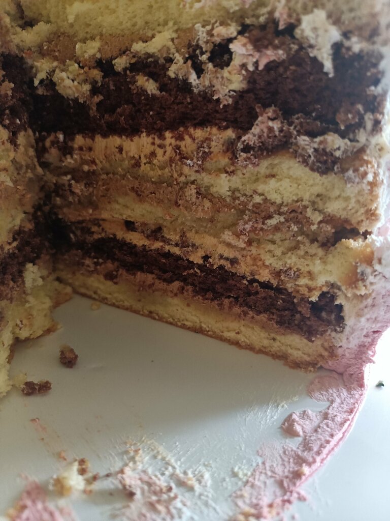 Pasta, şekerleme ve tatlı Camellia Cakes, Gümrü, foto