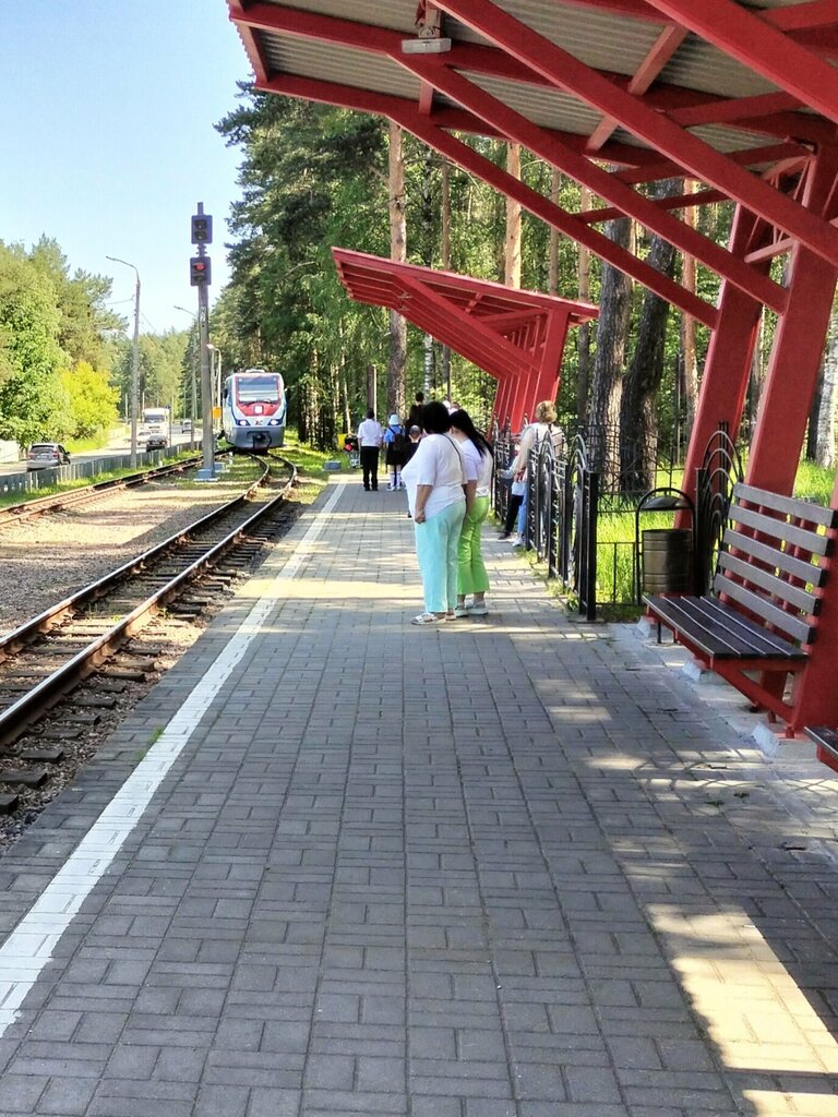 Yük istasyonu станция Яковлевская, Yaroslavskaya oblastı, foto