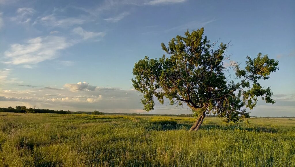 Tarım ürünleri firmaları Hello Derevnia, Nijegorodskaya oblastı, foto