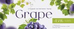 Grape (Sotsialisticheskaya ulitsa No:105), yoga stüdyosu  Vsevolgsk'tan