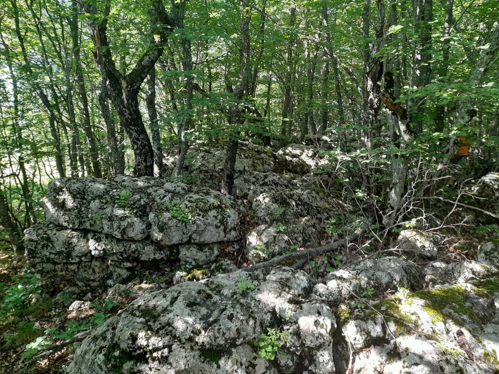 Doğa Каменные лабиринты, Kırım Cumhuriyeti, foto