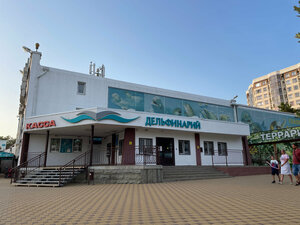 Oceanarium (Gelendzhikskiy Avenue No:130), akvaryumlar  Gelencik'ten