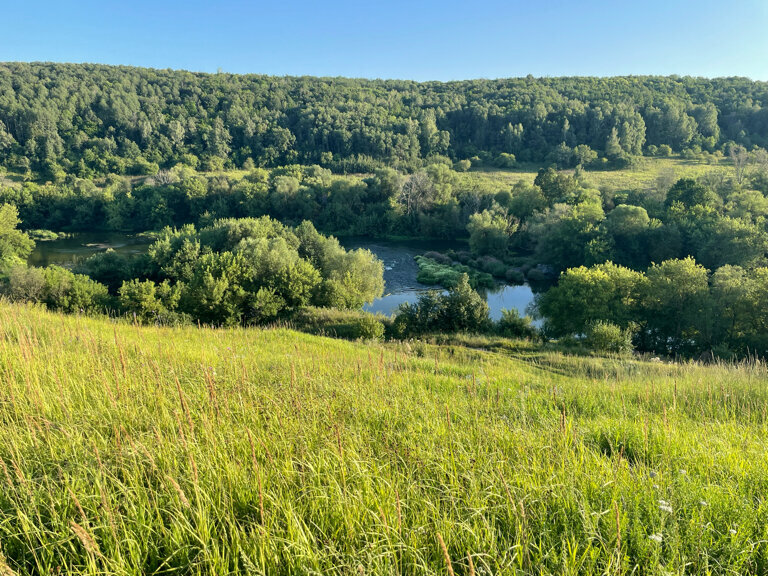 Orman Курганский лес, Tulskaya oblastı, foto