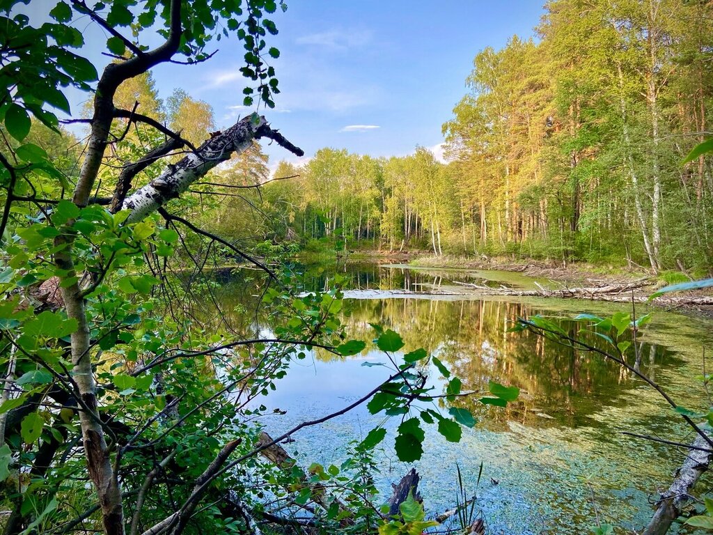 Turistik yerler Черновской железный рудник, Sverdlovskaya oblastı, foto