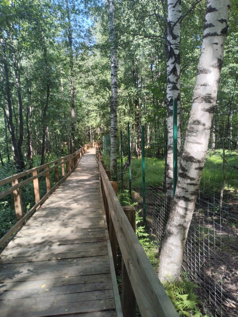 Seyir terası Смотровая площадка, Nijegorodskaya oblastı, foto