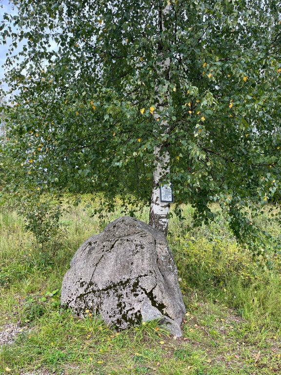 Anıt levhası, anıt taş Камень на месте рождения путешественника Н.Н. Миклухо-Маклая, Novgorodskaya oblastı, foto