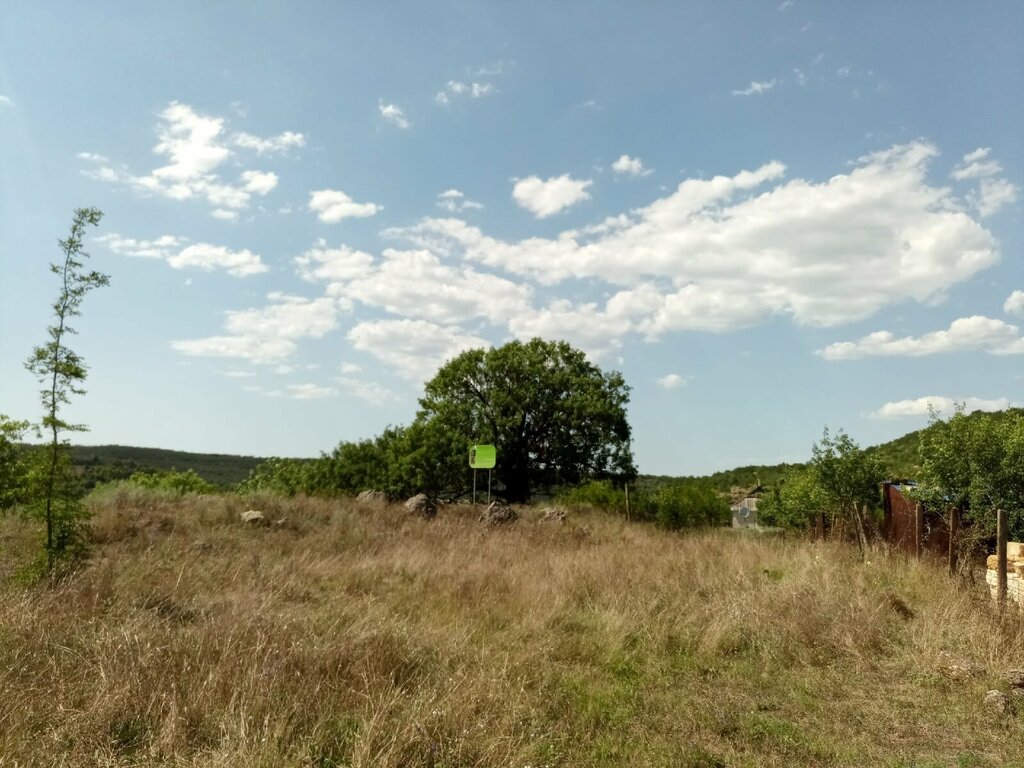 Doğa 370-летнее фисташковое дерево, Sevastopol, foto