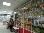Овощи и фрукты (prospekt Mendeleyeva No:44/1, mikrorayon Zaozyorny), manavlar  Omsk'tan