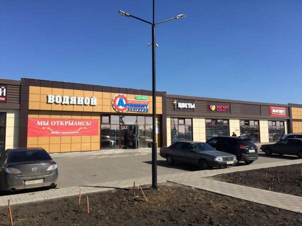 Otomobil yedek parçaları Autoimport, Belgorodskaya oblastı, foto