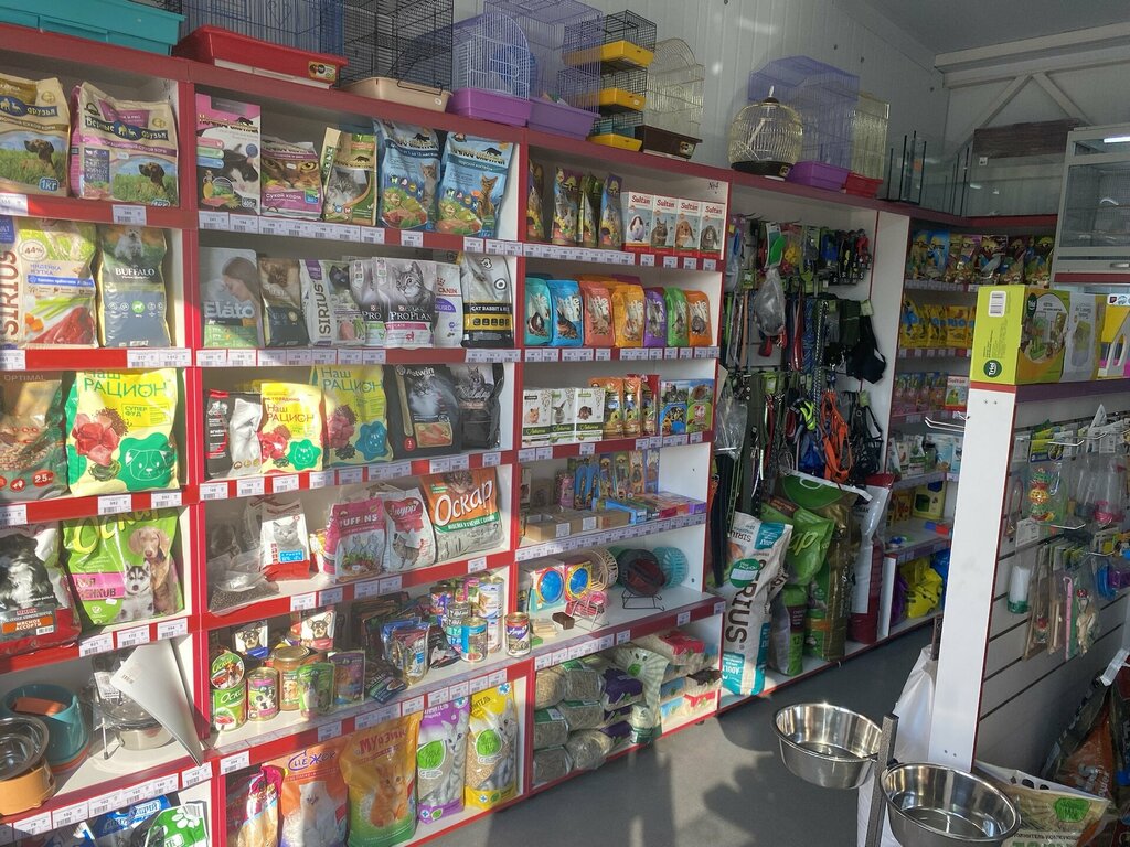 Petshop TerraPet, Orlovskaya oblastı, foto