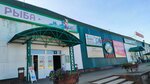 Магазин рыбы и морепродуктов (Kosmonavtov Avenue No:59/1), balık ve deniz ürünleri  Barnaul'dan