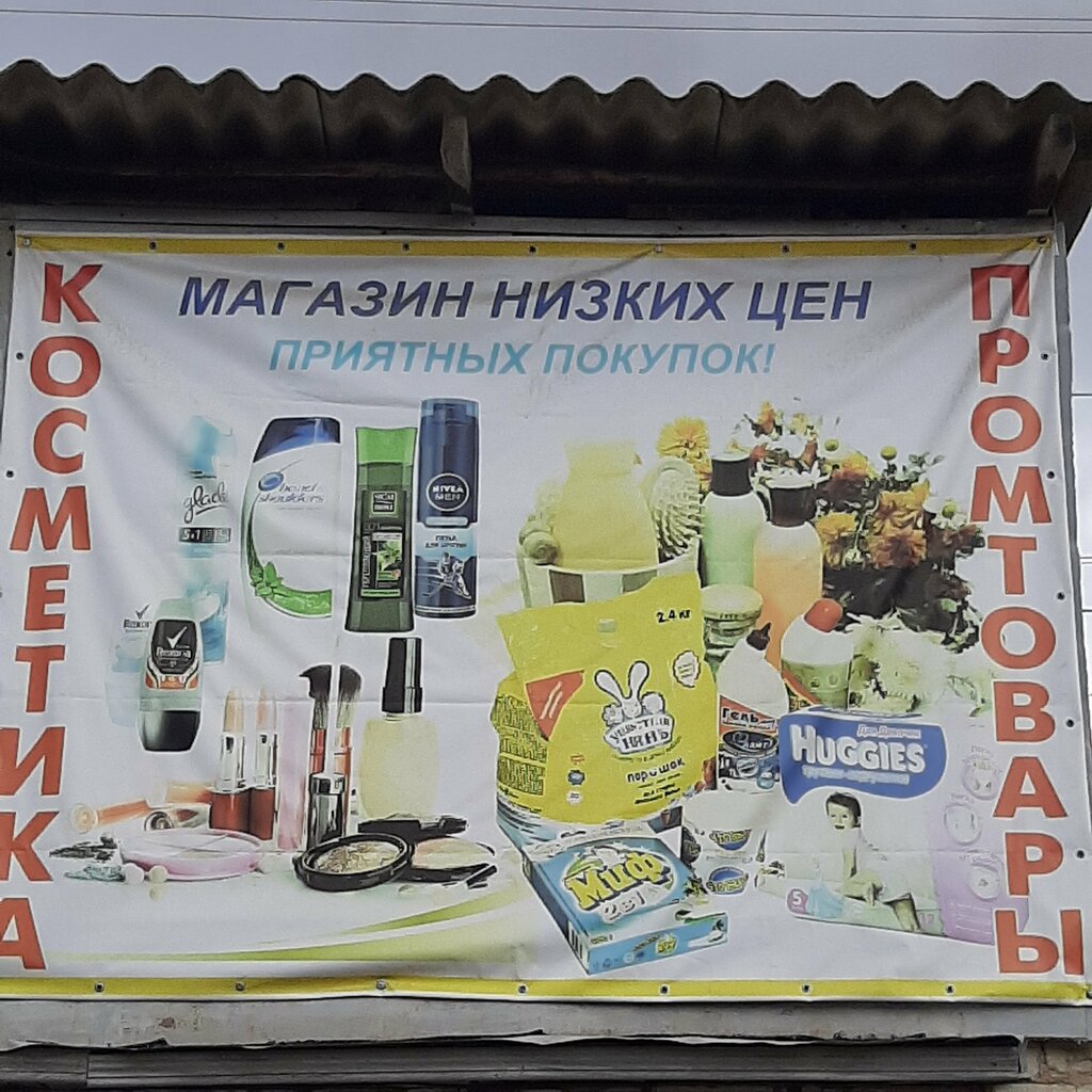 Ev temizlik ürünleri Стрела С, Voronejskaya oblastı, foto