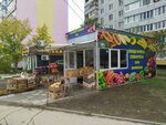 Магазин овощей и фруктов (Gidrotekhnicheskaya Street No:27Б, Shlyuzovoy Microdistrict), manavlar  Tolyatti'den (Togliatti'den)