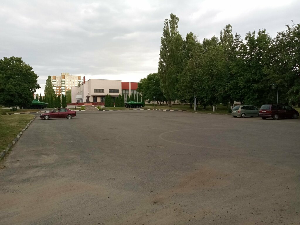 Anıt, heykel Воинам-интернационалистам, Novolukoml, foto