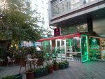 Ceviz cake house (Kral Huseyn Street No:52A), pasta, şekerleme ve tatlı  Bakü'den