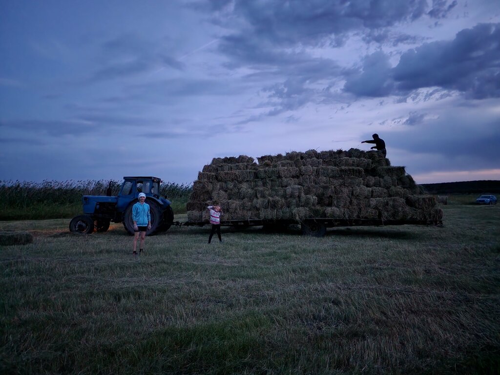 Hayvancılık Анютины Забавы, Voronejskaya oblastı, foto