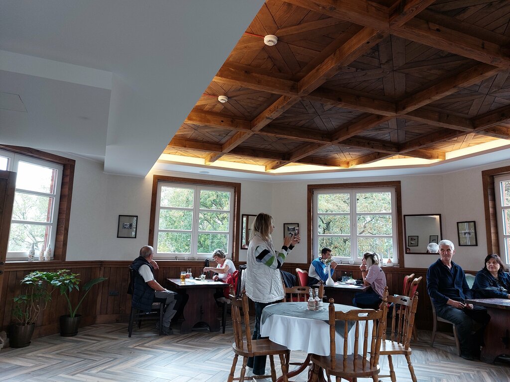 Restoran Mitrovićev dom, Dünya, foto