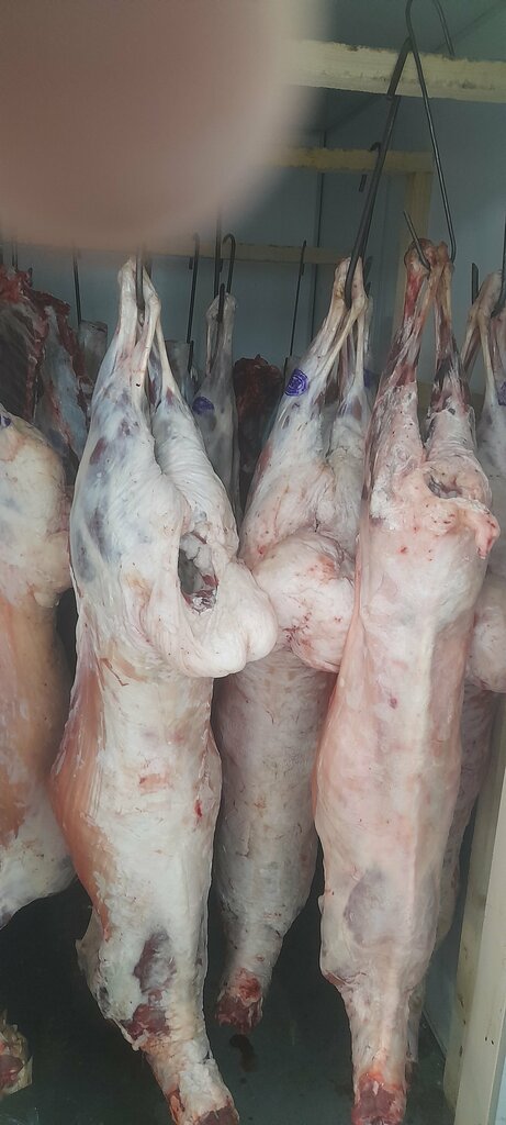 Kasap, şarküteri Мясо халяль, Tiumen, foto