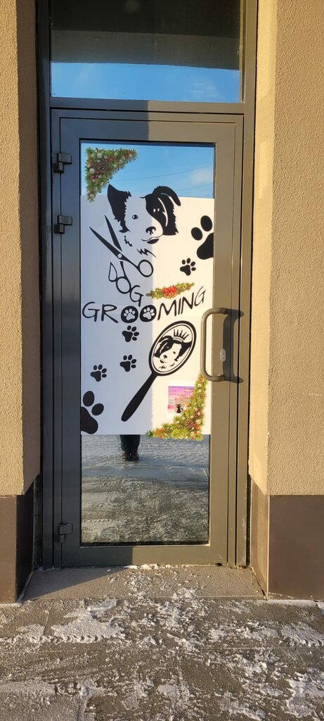 Evcil hayvan kuaförleri Dog Grooming, Yekaterinburg, foto