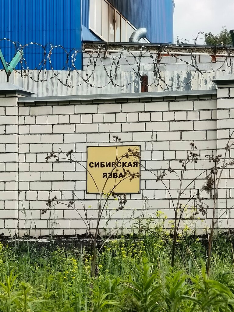 Geri dönüşüm merkezleri Сибиреязвенный скотомогильник № 79, Yekaterinburg, foto