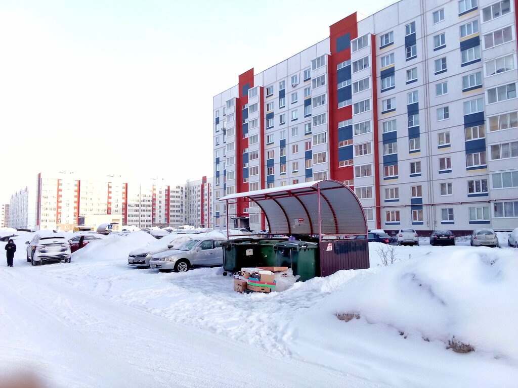 Çöp alanları Trash and garbage disposal area, Velikiy Novgorod, foto