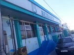 Beibarys (Saıram kóshesi No:172), anaokulları  Çimkent'ten (Şımkent'ten)