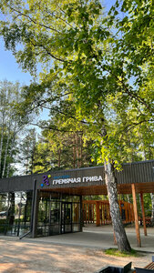 Гремячая Грива (Krasnoyarsk Urban District, Oktyabrskiy City Administrative District, eko-park Gremyachaya griva), parklar ve ormanlar  Krasnoyarsk'tan