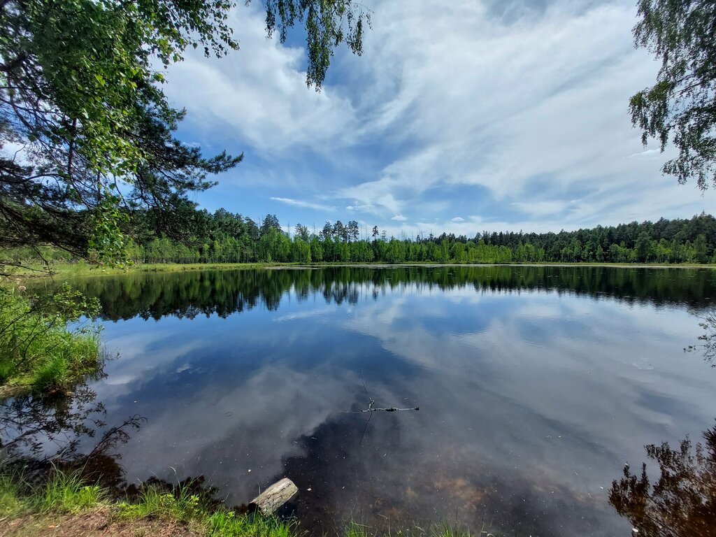 Plaj Пляж, Moskova ve Moskovskaya oblastı, foto
