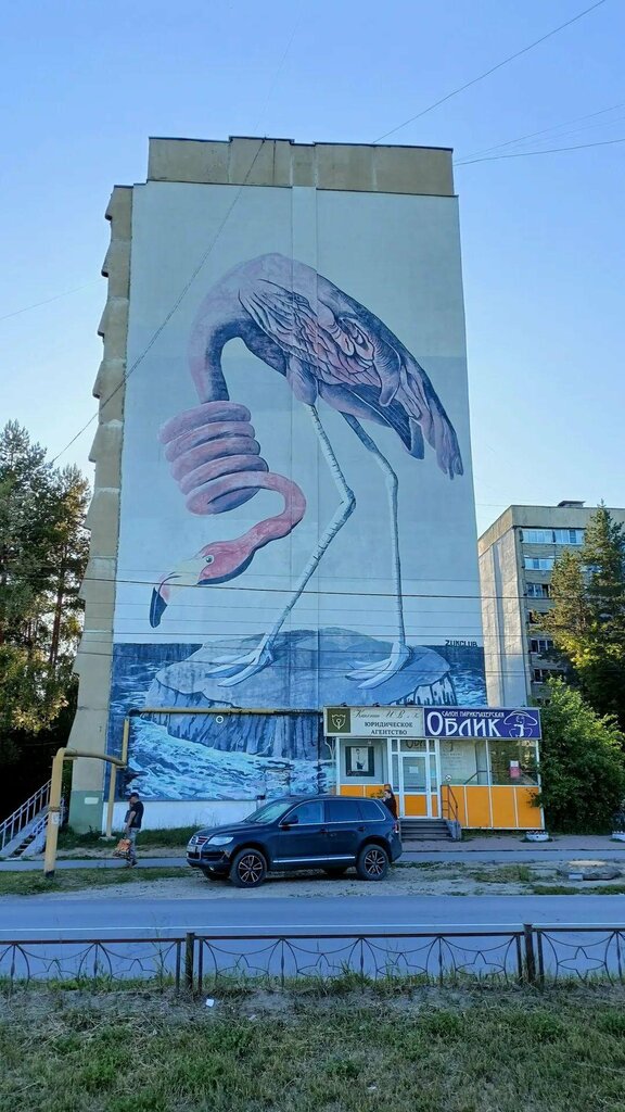 Sokak sanatı Граффити Фламинго, Vyksa, foto