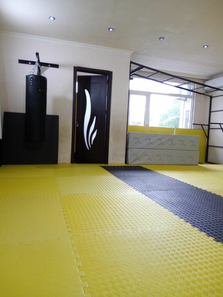 Spor kulüpleri Y-Dojo, Batum, foto