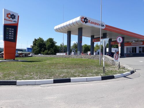 Benzin istasyonu Kalina Oil, Boguçar, foto