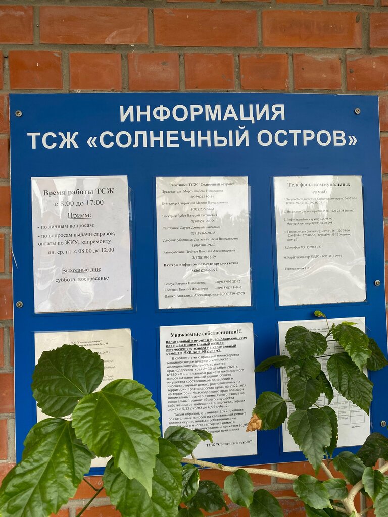 Bina, site yönetimi TSZh Solnechny ostrov, Krasnodar, foto