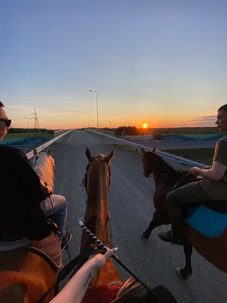 At ve binicilik kulüpleri Зелёная улица, 167, Habarovski krayı, foto