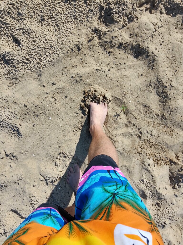 Plaj Пляж, Riazanskaya oblastı, foto