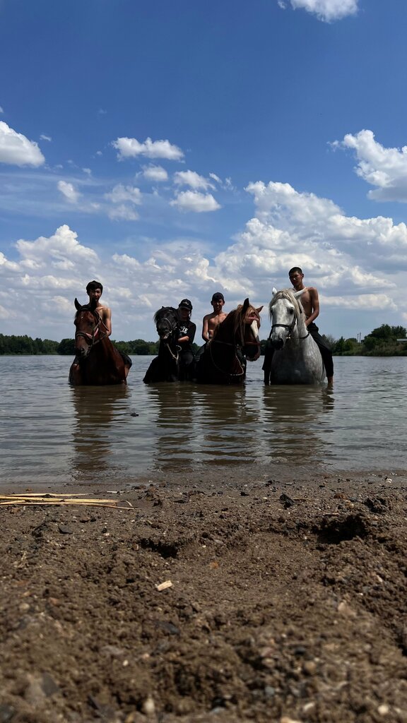 At ve binicilik kulüpleri Konnaya progulka, Aktöbe, foto