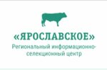 Yaroslavskoye po plemennoy rabote (2nd Koltsova Street No:39, Yaroslavl), tarım ürünleri firmaları  Yaroslavl'dan