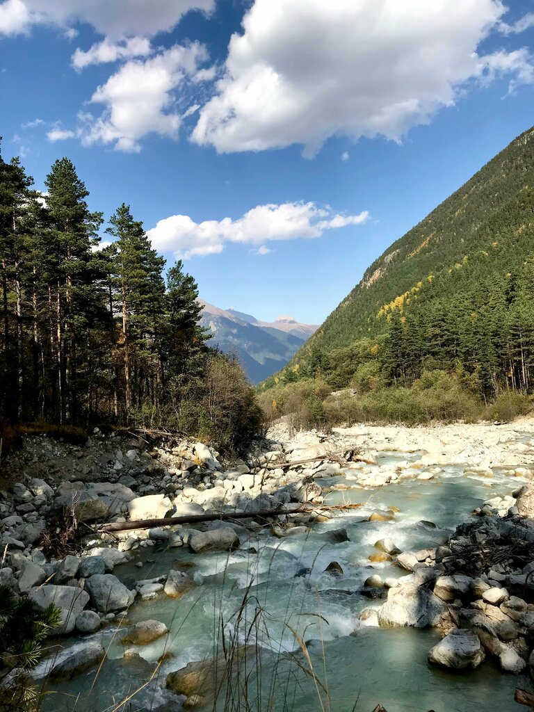 Doğa Лес Кароска, Kuzey Osetya‑Alanya, foto