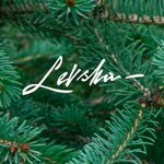 Levsha (Ugreshskaya Street No:31к3), deri atölyesi  Moskova'dan