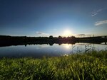 Spring, stream (Leningrad Region, Kingisepp), pınar, çay  Kingisepp'ten
