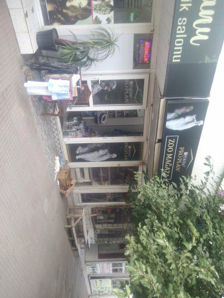 Petshop Pro Plan, Bakü, foto