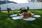Bark and Play (Noor Al Safa Building, Al Jadaf, Ras Al Khor, Dubai), pet otel  Dubai'den