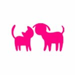 Pushisty'j drug (Esenina Street No:13), petshop  Sakhalinsk'ten