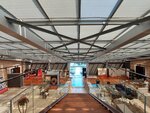 Lale Müzesi (Emirgan Mah., Koru Yolu Cad., No:1, Sarıyer, İstanbul), müzeler ve sanat galerileri  İstanbul'dan