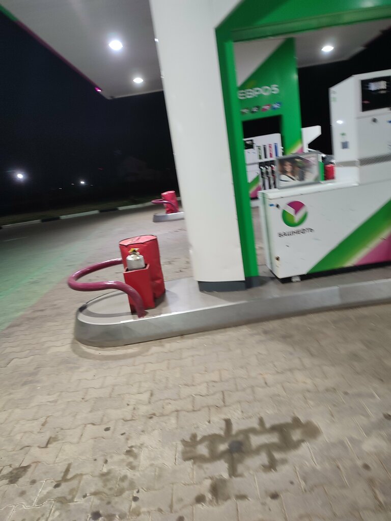 Benzin istasyonu Башнефть, Orenburgskaya oblastı, foto