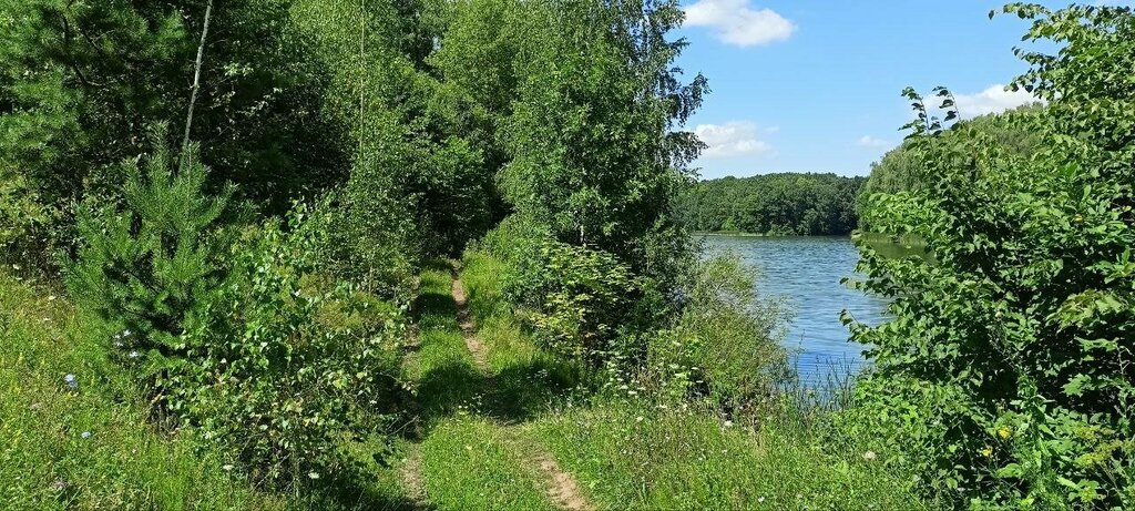 Orman урочище Корытное, Belgorodskaya oblastı, foto